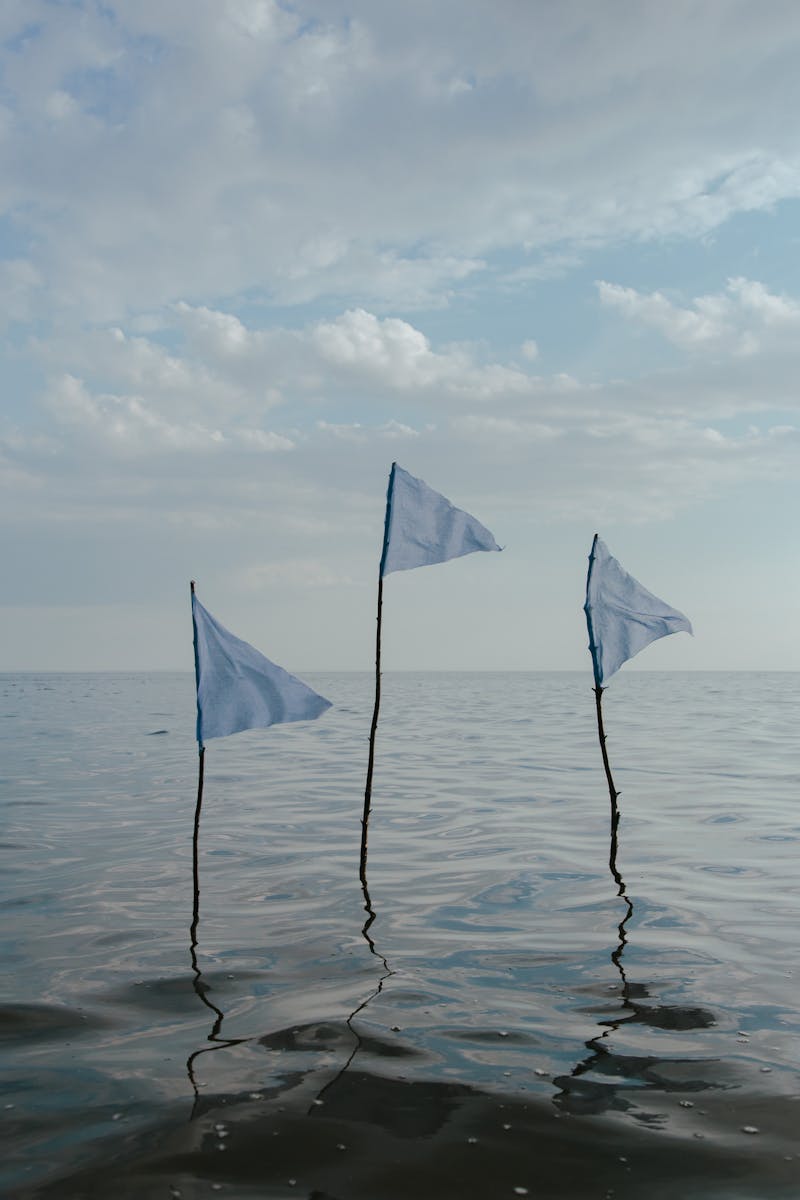 three sticks with blue flags stuck in a body of water – Flag Depot